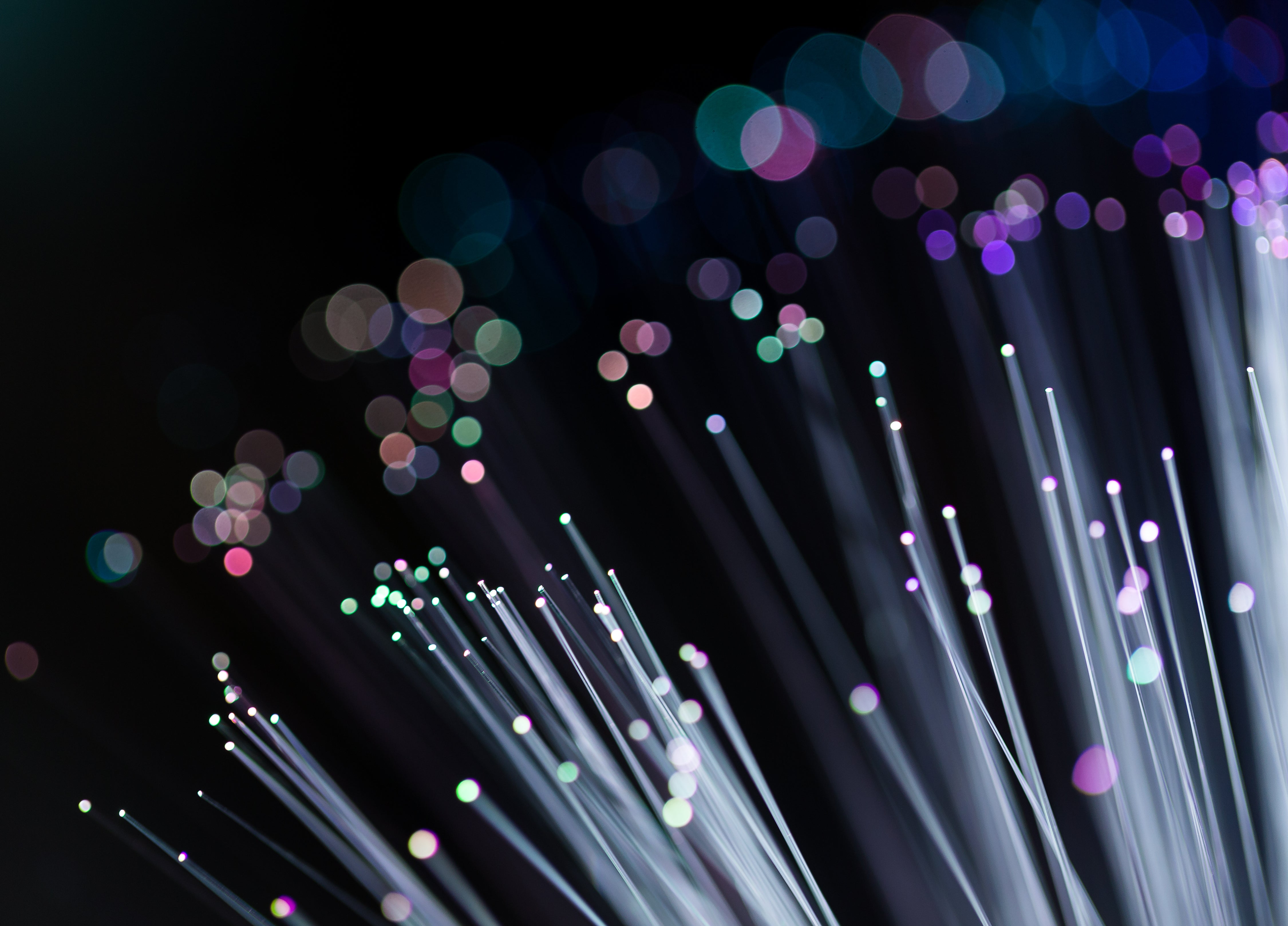 The Ultimate Guide To Fiber Optic Cable Patch Cords, Aka Fiber Jumpers ...